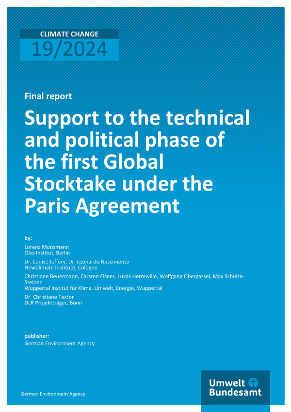 Support to the technical and political phase of the first Global ...