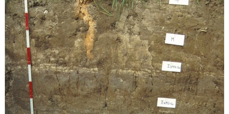 Soil science | Umweltbundesamt