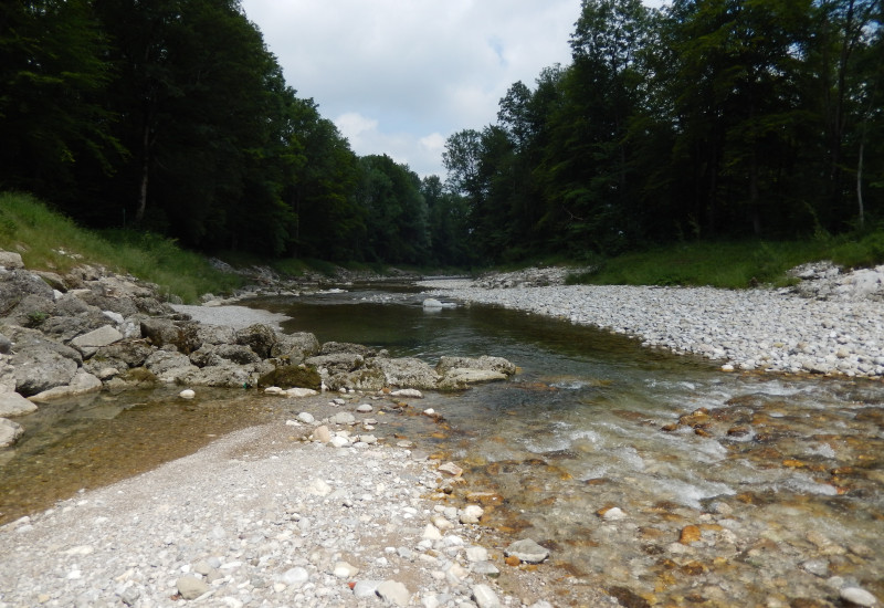 Wasser Umweltbundesamt