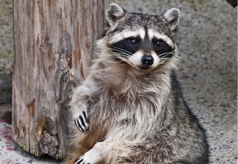 Umweltbundesamt | Für Mensch und Umwelt